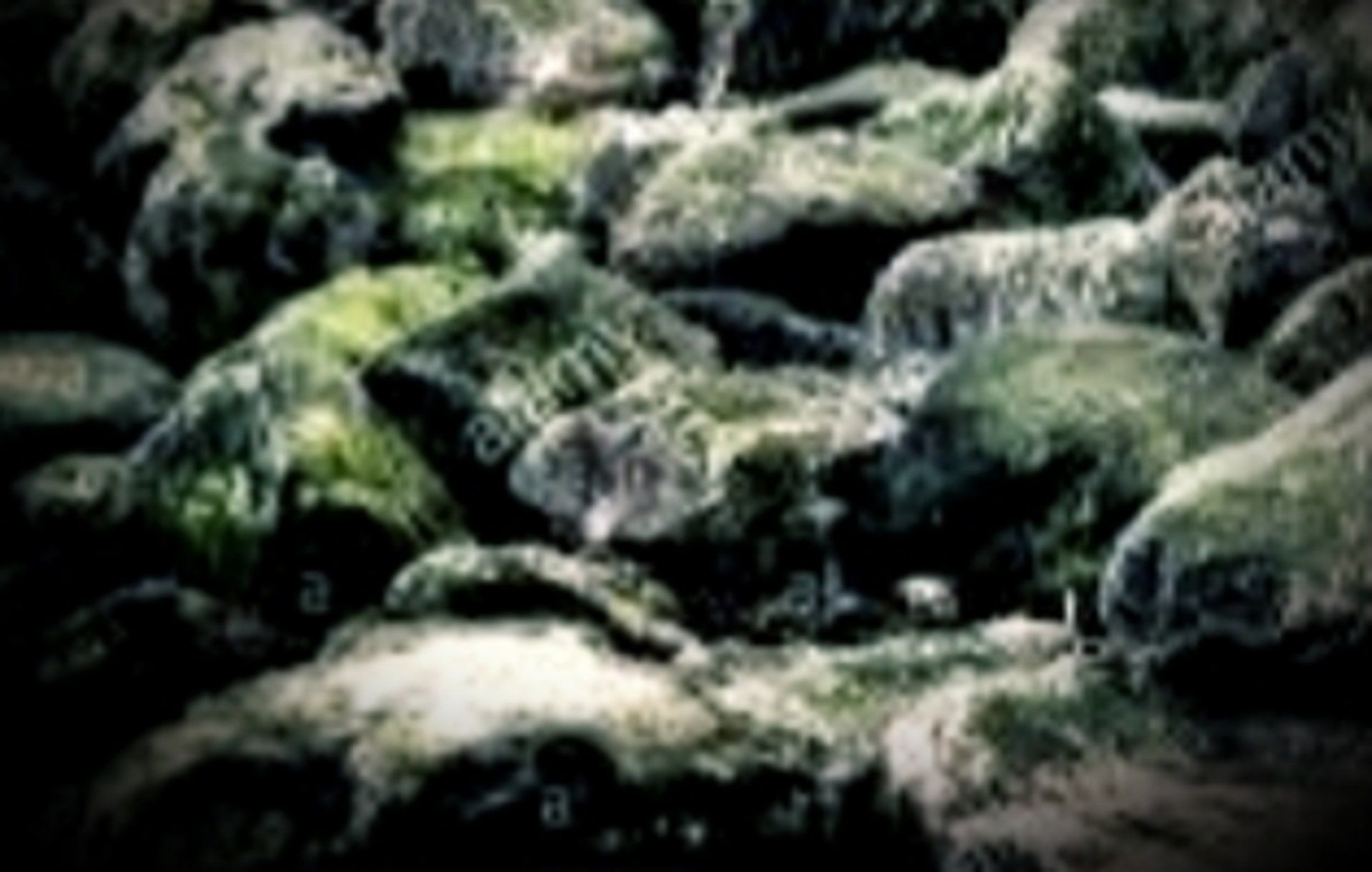 What is Bog Iron - and why "Privateer" it? - Bog Iron Foundry